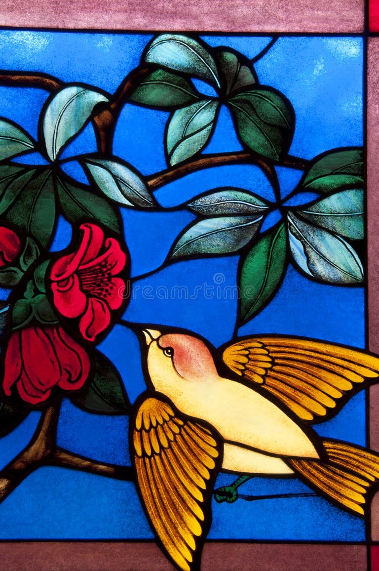 3,616 Draw Houbara Bird Stock Photos - Free & Royalty-Free Stock Photos ...