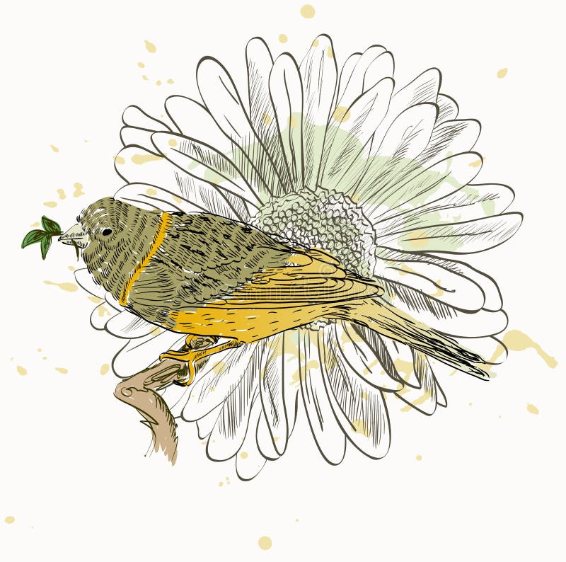 Bird and flower stock vector. Illustration of abstract - 58963825