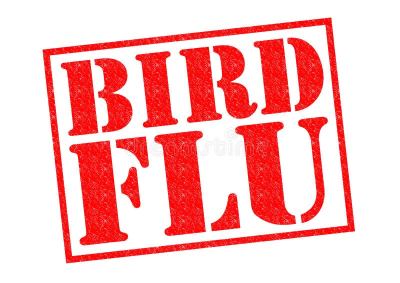 Bird Flu Stock Illustrations – 4,660 Bird Flu Stock Illustrations ...