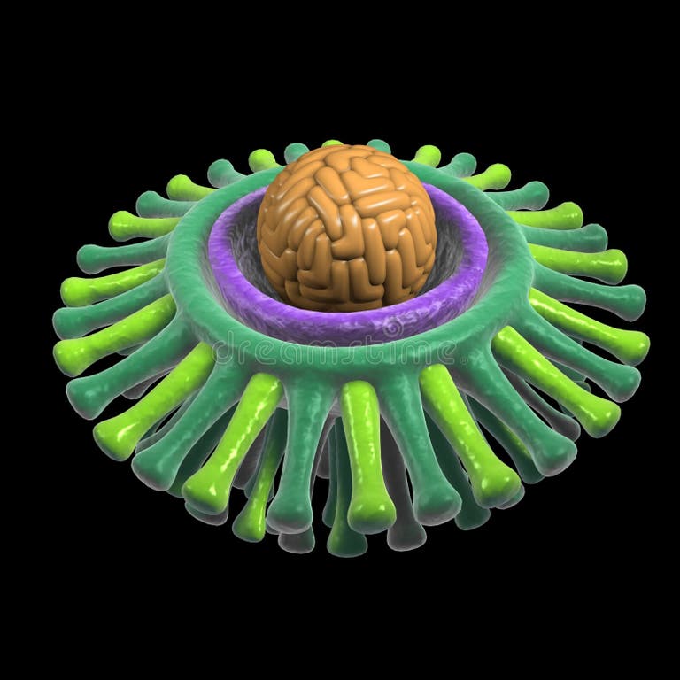 Doctor Bird Stock Illustrations – 1,747 Doctor Bird Stock Illustrations ...