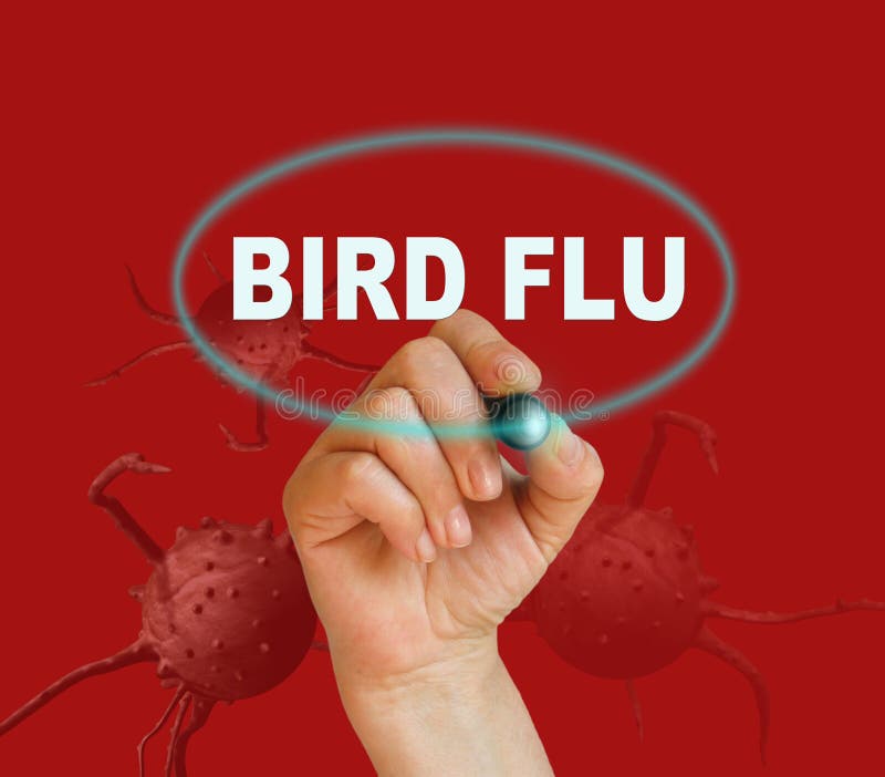 Bird Flu Stock Illustrations – 3,767 Bird Flu Stock Illustrations ...