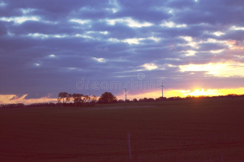 Bird fly Sommerlook stock photo. Image of backyard, wildlife - 265364386