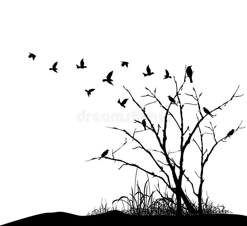 Set of Swallow Stand and Fly Around the Branch Stock Vector ...
