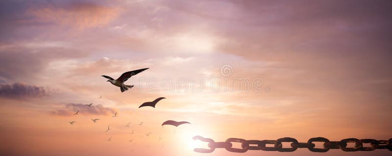 Bird Flying and Broken Chains Stock Image - Image of good, chain: 204853985