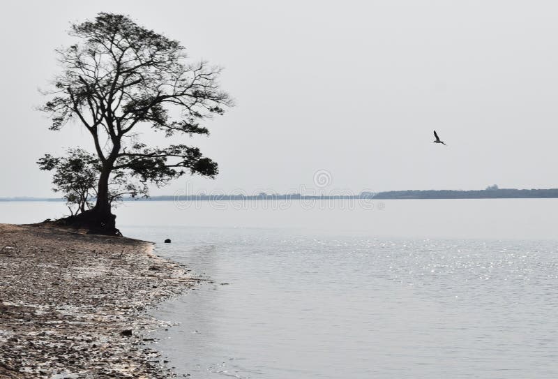 Flying home stock image. Image of aerospace, 30th, 21st - 84412927