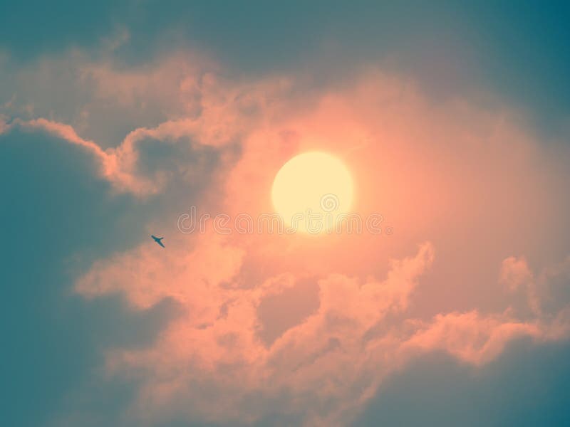 Bird Flying in the Morning with the Sunrise Shines Gently Amid the ...