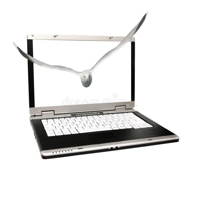 Bird Flying Out of a Laptop Stock Image - Image of colleagues, crew ...