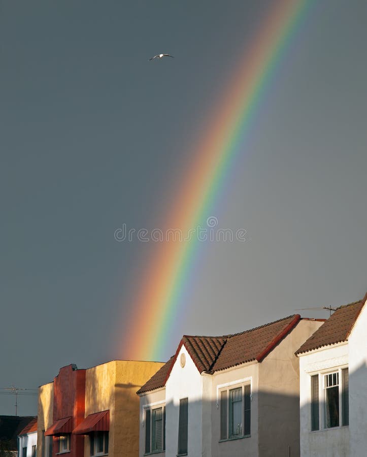 Bird flying over a rainbow stock image. Image of stormy - 19946671
