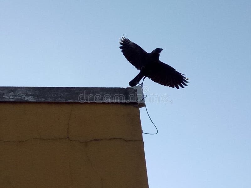 Mkv Pandakar (Prabaka) - Photographer profile