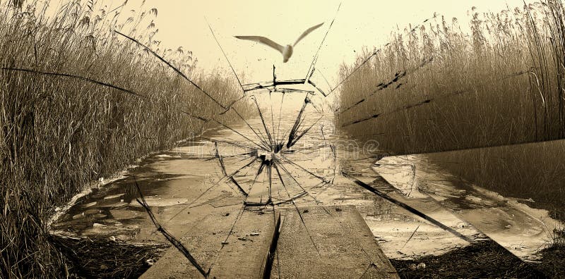 Bird on Foggy Beach and Broken Glass Stock Image - Image of allegory ...