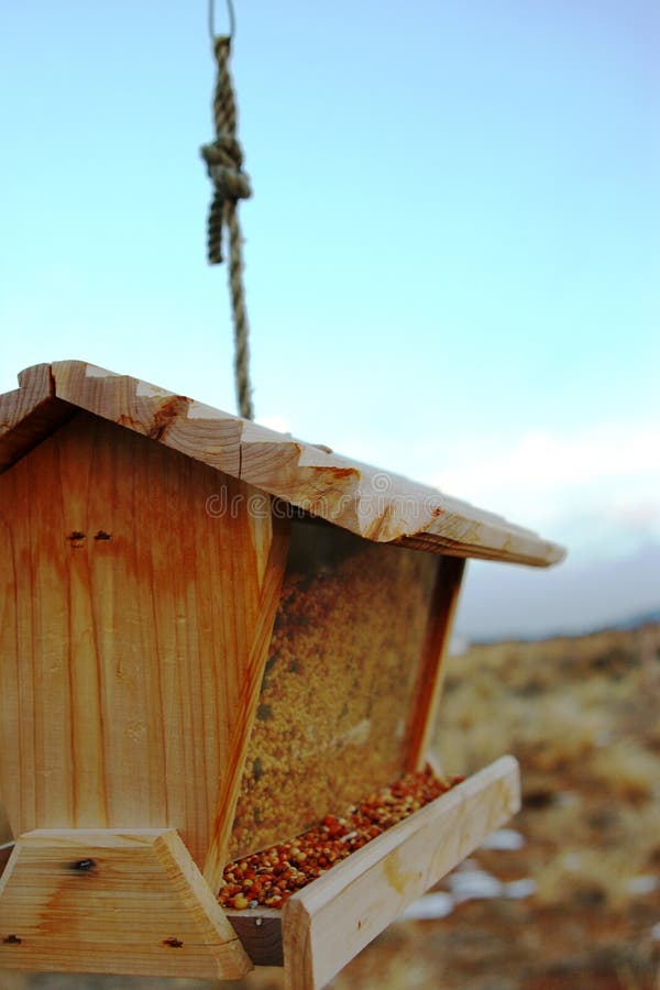 Bird Food stock photo. Image of wild, nature, seed, winter - 4168010