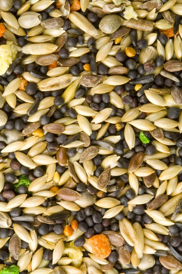 Bird Food stock image. Image of crop, dietary, food, round - 7990487