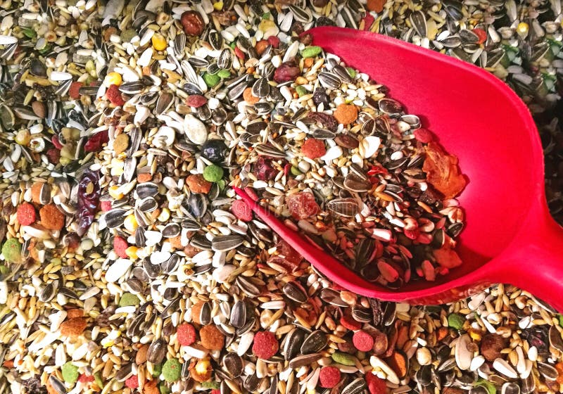 Bird Food Mix with a Red Shovel Stock Image - Image of birdseed, feed ...