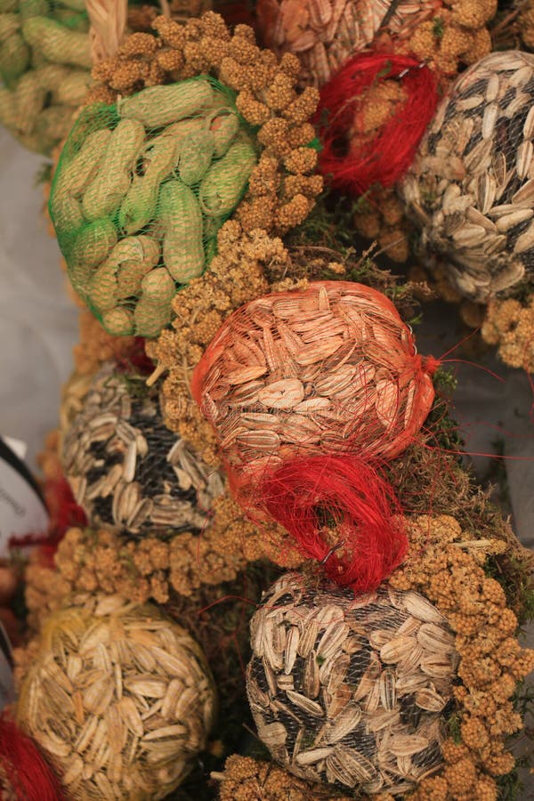 Bird food in netting stock photo. Image of nature, season - 79209624