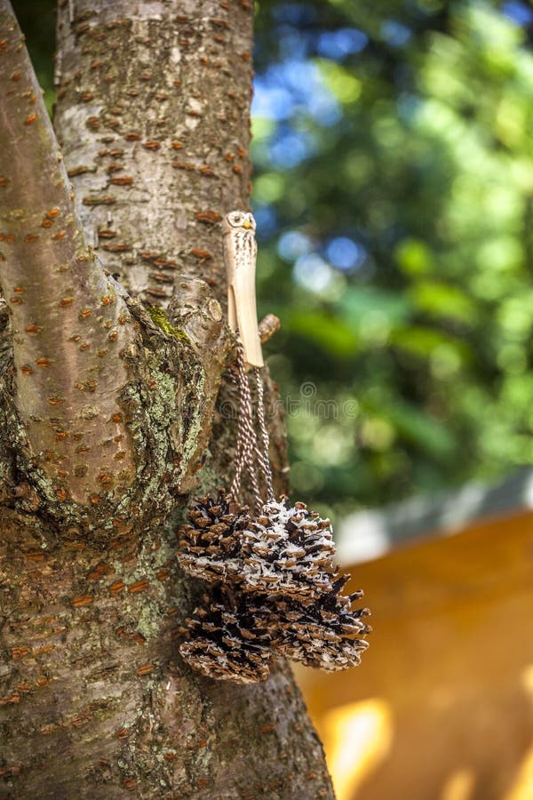 Bird Food Rice in a Pine Corn Stock Image - Image of cherry, birdhouse ...