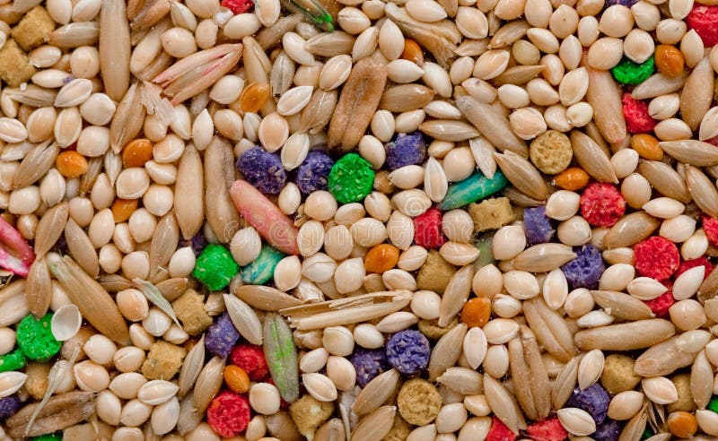 Pet Bird Food Seeds Grain stock photo. Image of nutritious - 11791000