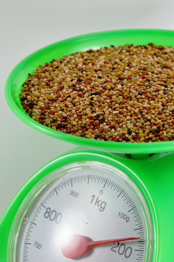 Bird Food on Weighting Scale Stock Photo - Image of grain, cereal: 53571194
