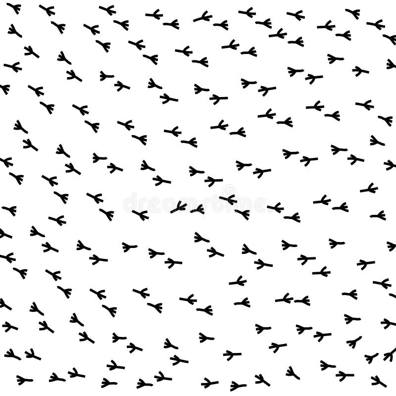 Bird Footprints Pattern on a White Background. Vector Illustration ...