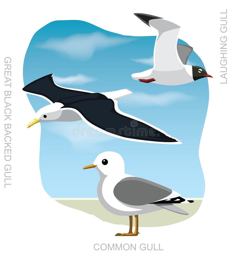 Bird Gull Set Cartoon Vector Illustration Stock Vector - Illustration ...