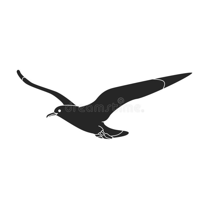 Bird Gull Vector Icon.Cartoon Vector Icon Isolated on White Background ...