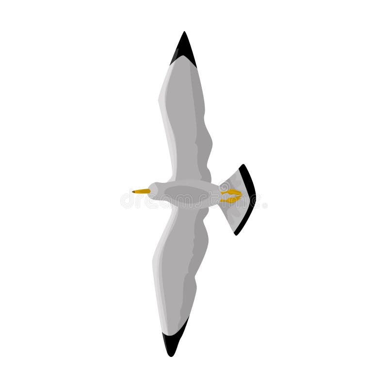 Bird Gull Vector Icon.Cartoon Vector Icon Isolated On White Background ...