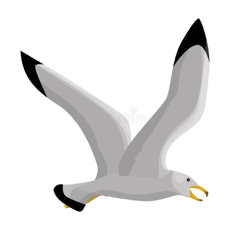 Bird Gull Vector Icon.Cartoon Vector Icon Isolated on White Background ...