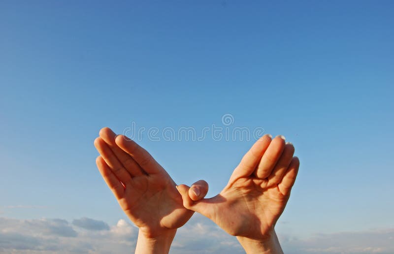 Bird hands stock photo. Image of environment, girl, safety - 7657632