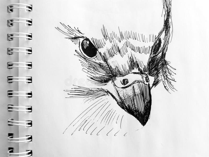 Bird head stock illustration. Illustration of monochrome - 90200578