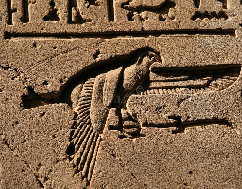 Bird hieroglyph 2 stock photo. Image of pharaoh, horus - 12314664