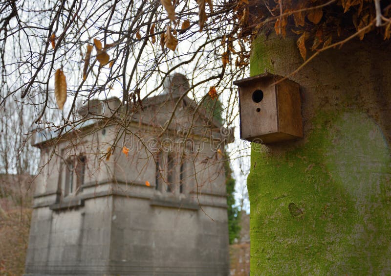 Bird Home and Classical Little Temple Stock Image - Image of ...