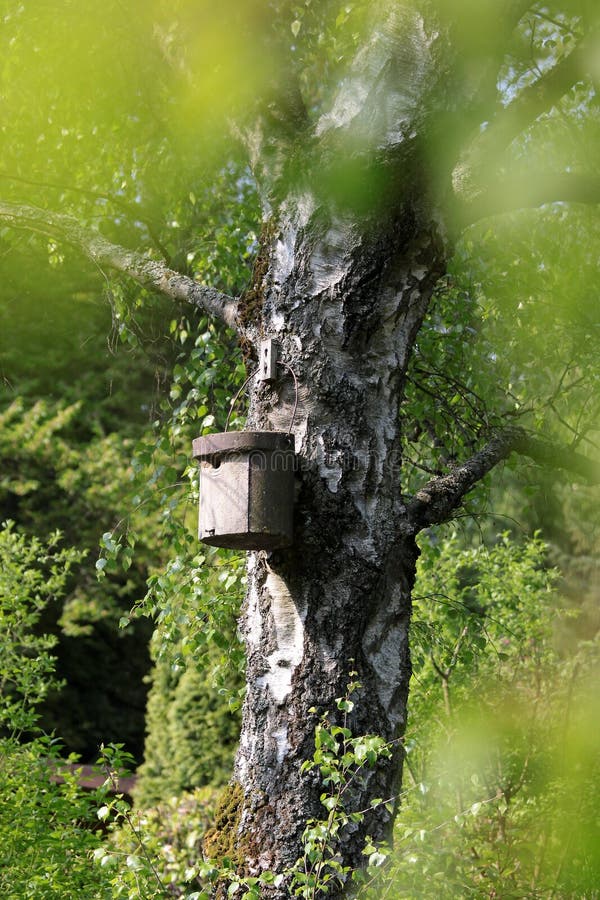 Bird house stock photo. Image of real, outside, outdoor - 11968900