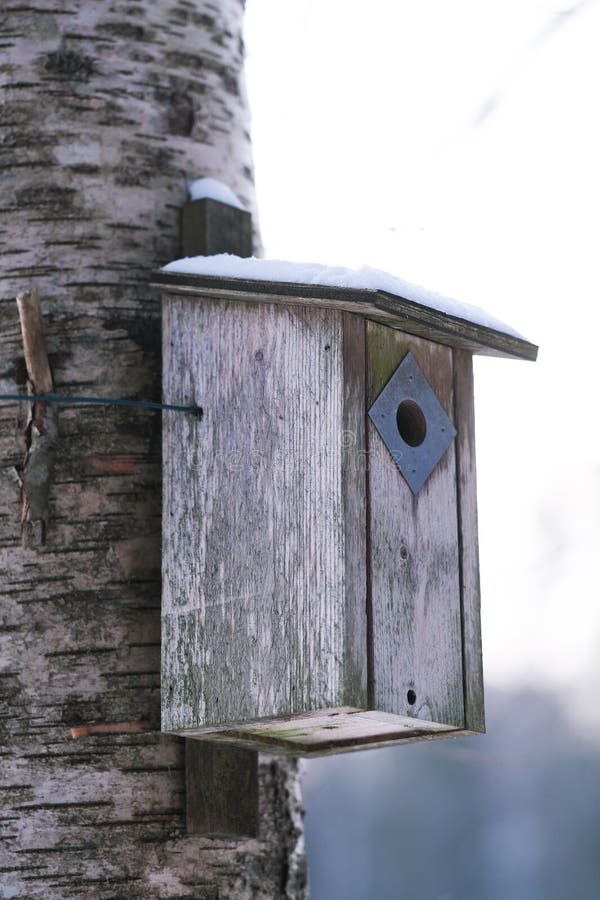 Bird House stock image. Image of tree, winter, hole - 361899697