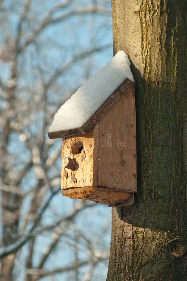 Bird House. Booth Breeding on Tree Stock Image - Image of breeding ...