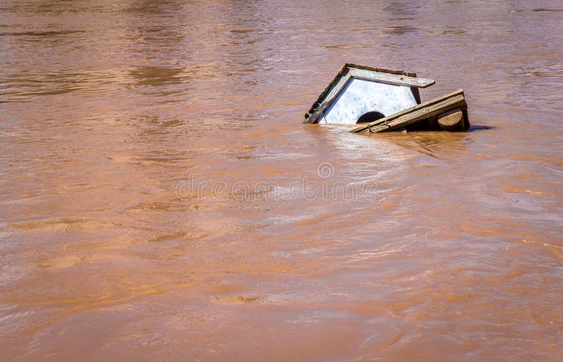 Bird House Drown stock image. Image of rain, catastrophe - 30308489