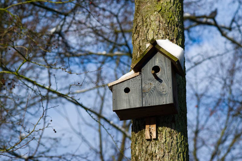 Bird house with snow stock image. Image of house, outdoor - 17722623