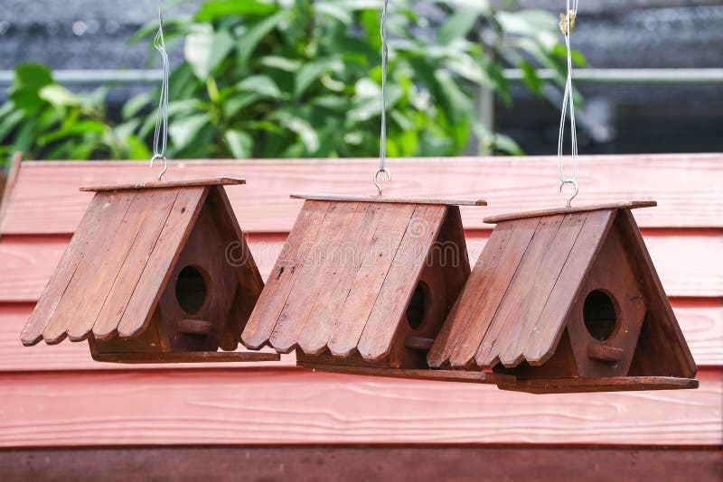 Bird House in the Spring Garden Stock Photo - Image of branch, nature ...