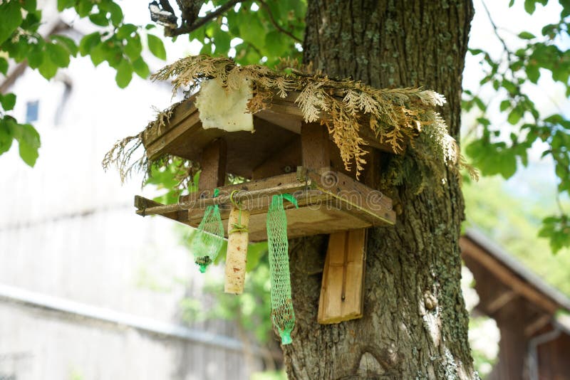 Bird House in the Summer Abandoned by Birds and without Food Stock ...