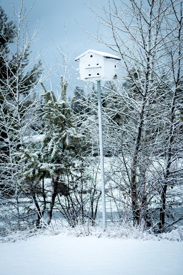 Bird House on the Top of a Post in Winter with Snow and Trees Stock ...