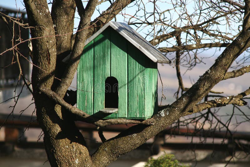 Bird house on the tree stock photo. Image of branch, live - 12371464