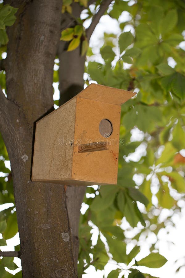 Bird-house on a tree stock image. Image of construction - 106328681