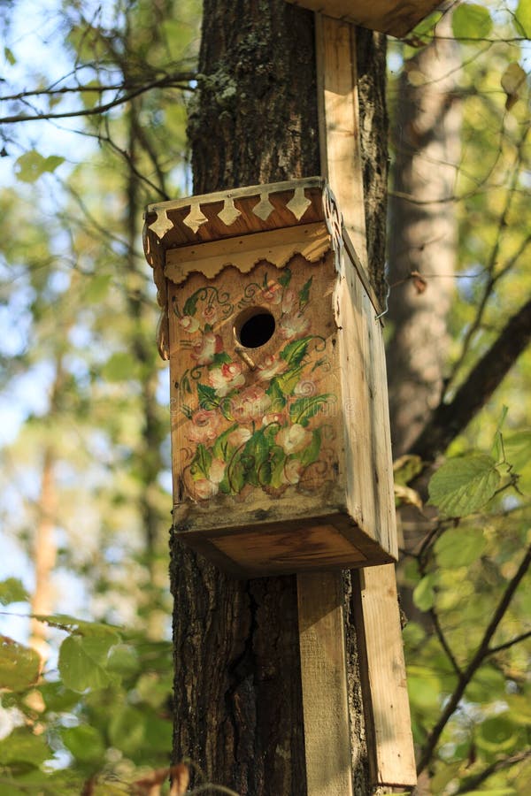 Bird house on the tree stock image. Image of forest, branch - 60503471