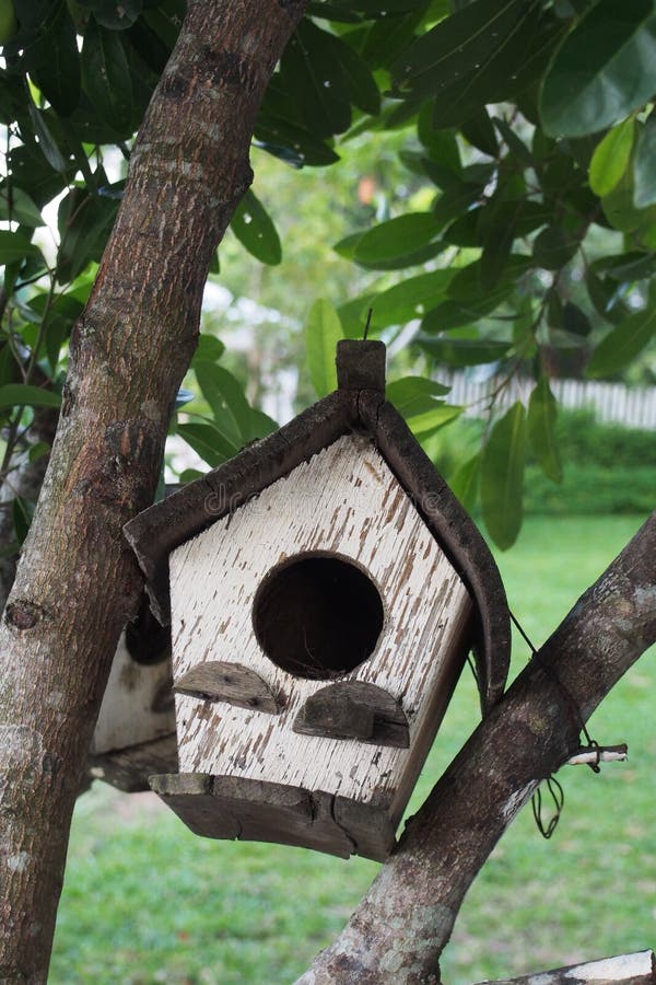 Bird house stock image. Image of garden, nature, decorative - 45029505