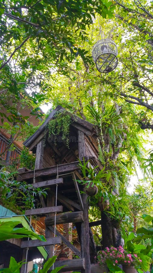 Bird House and a Tree House Stock Photo - Image of green, forest: 68120278