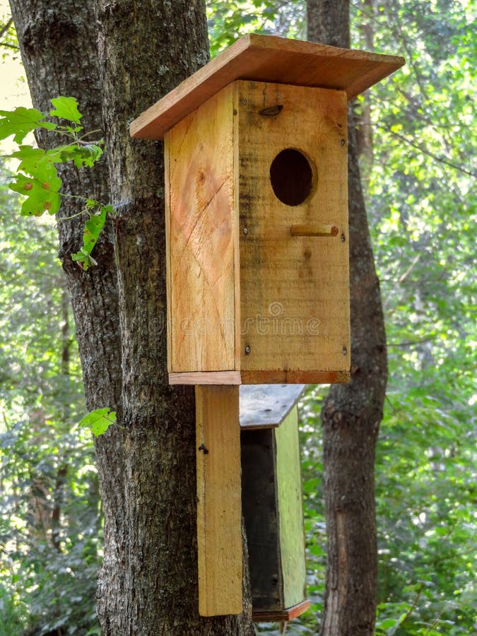 Bird house on the tree stock image. Image of outdoor - 97873097