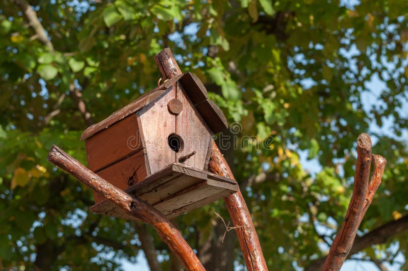 Bird House on a Tree Surrounded by Green Leaf Stock Photo - Image of ...