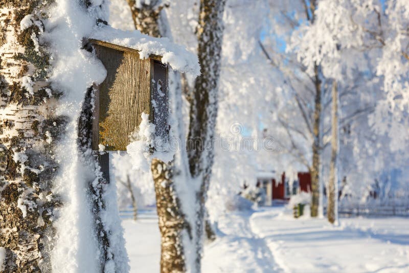 Bird House on a Tree Trunk in a Garden on a Cold Winter Day Stock Image ...