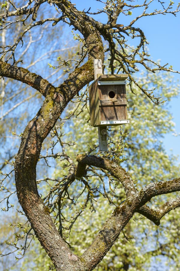Bird house stock image. Image of natural, spring, nature - 53062045