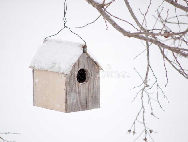 Snow covered bird house stock photo. Image of freezing - 4536822
