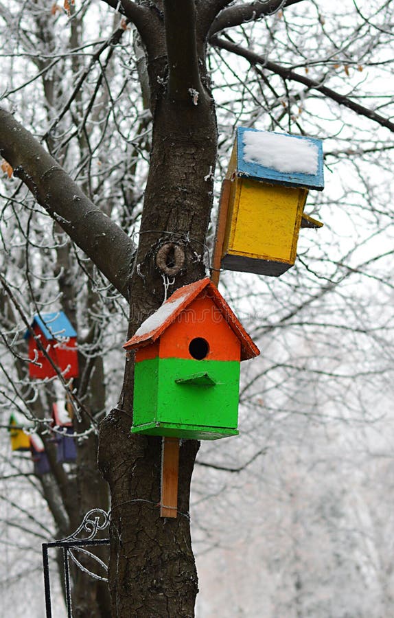 Bird house in winter stock photo. Image of icicle, bird - 47706010