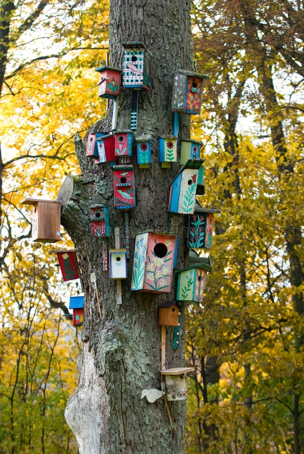 Bird houses stock photo. Image of bird, volery, tree - 34521938